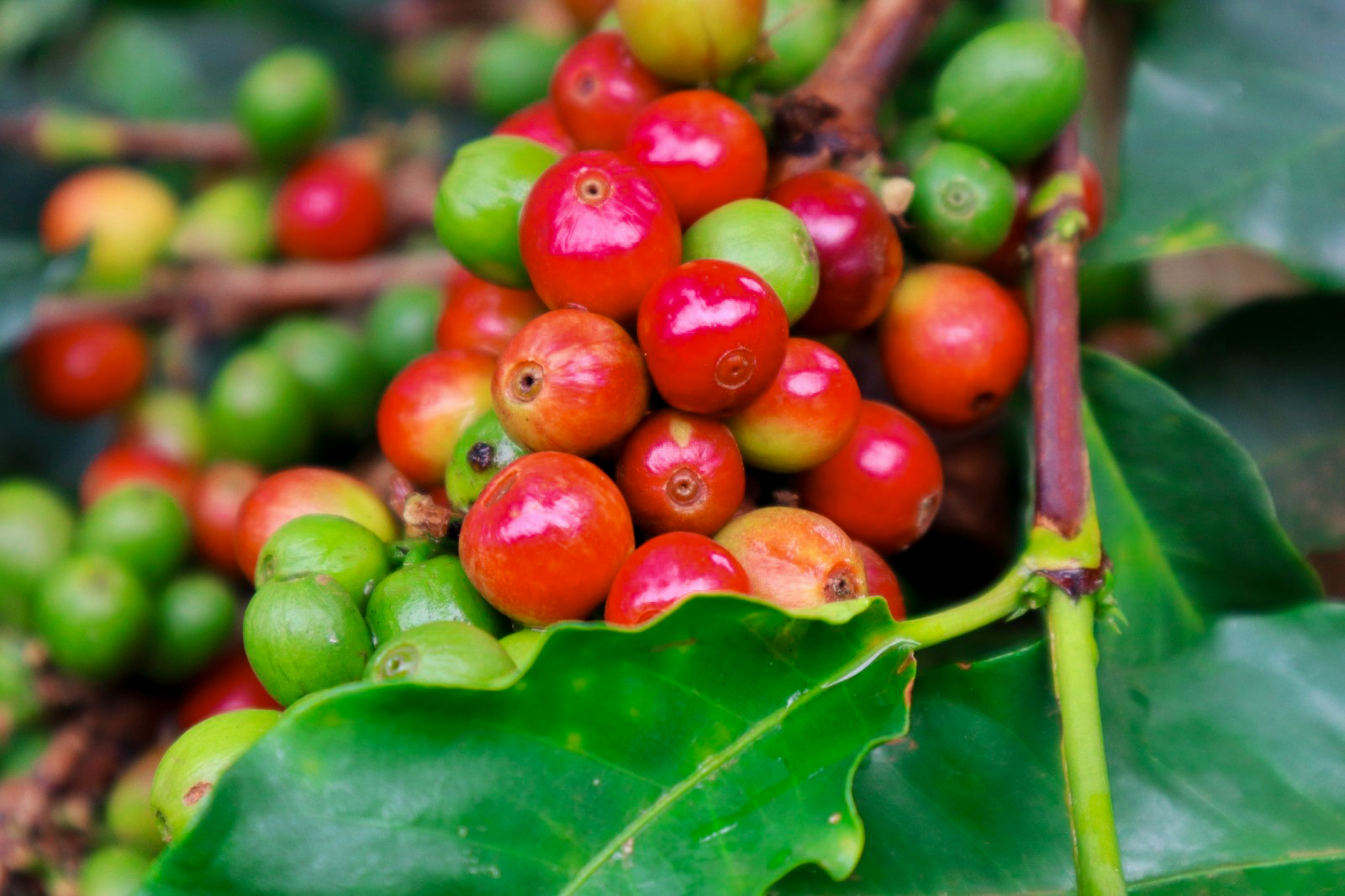 HomePage - eProd Solutions